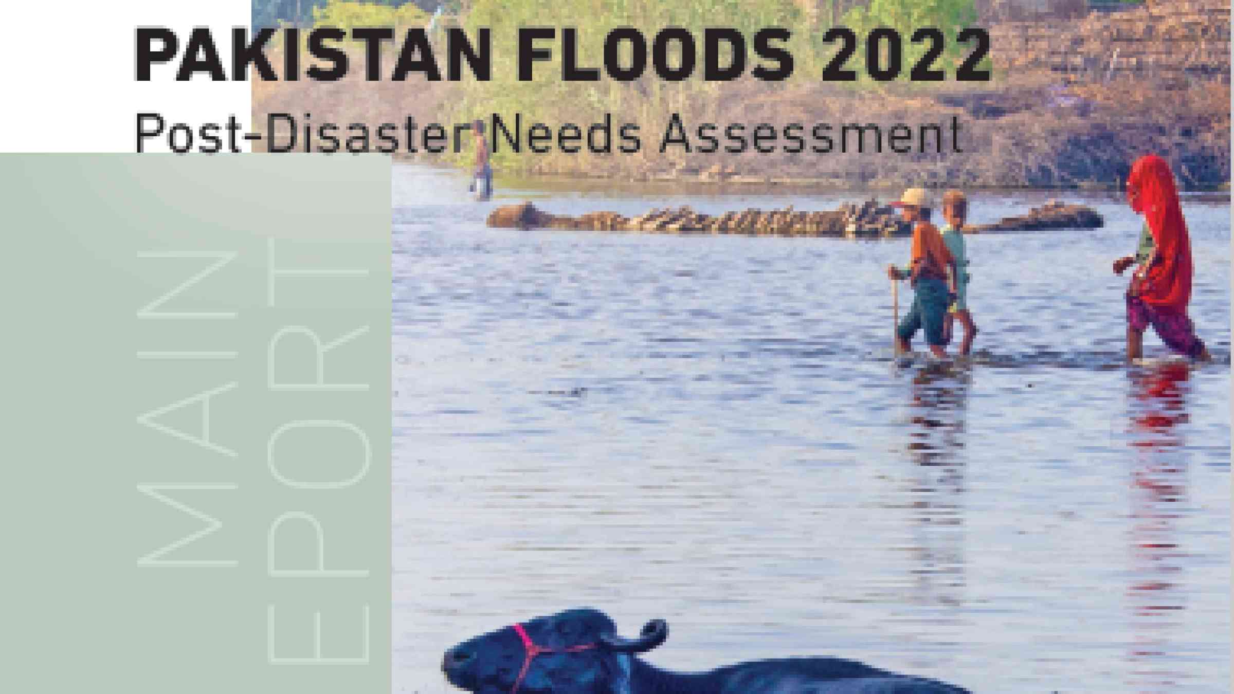 pakistan-floods-2022-post-disaster-needs-assessment-preventionweb